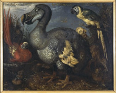 The famous dodo painting and its modern translation - Lewis Carroll ...