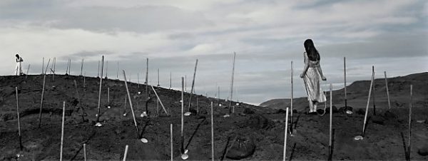 Photography Archives - Page 2 of 3 - Lewis Carroll Society of North America